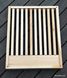 Parts Of A Beehive – A Beginner Beekeeper’s Guide ‣ Beverly Bees